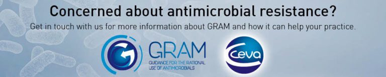 Staphylococcal (Pyoderma) - The Skin Vet