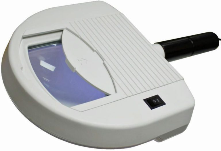 Dermatophytosis (Ringworm) - The Skin Vet